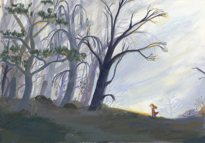 How to grow a walnut tree – Kriksis